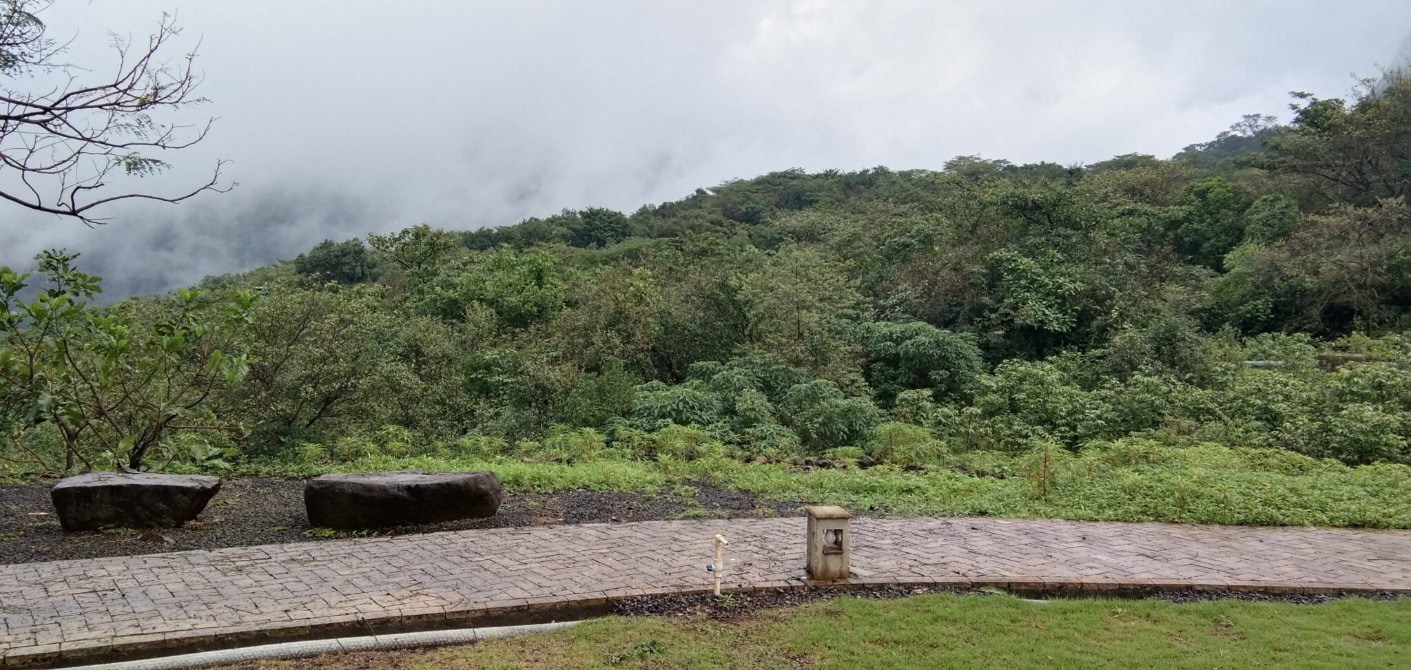 Pranic Healing Ashram In Pune - Divine Bliss Pranic Healing
